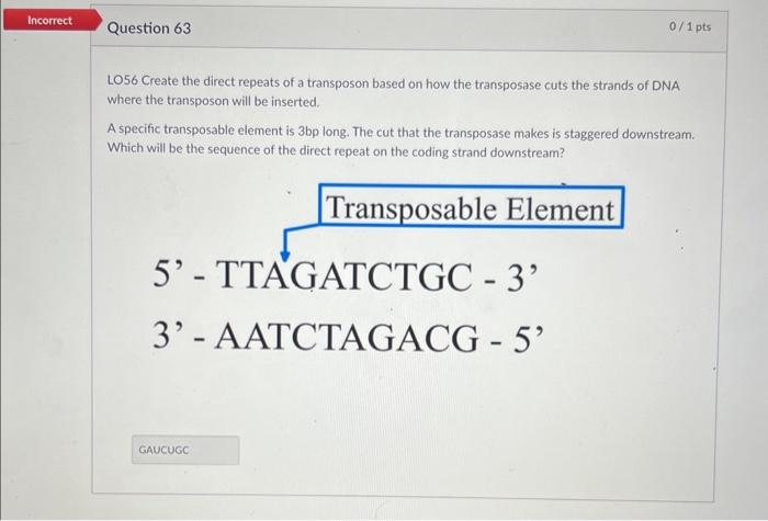 L056 Create the direct repeats of a transposon based | Chegg.com