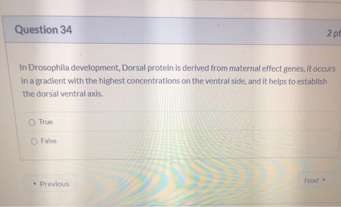 Solved Question 30 If you were a quadruped (a four-footed | Chegg.com