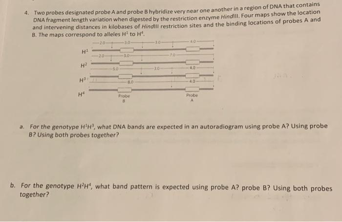 Solved 4. Two probes designated probe A and probe B | Chegg.com