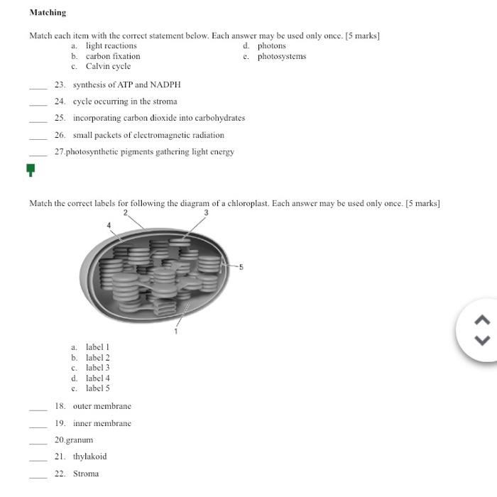 Solved Matching Match each item with the correct statement | Chegg.com