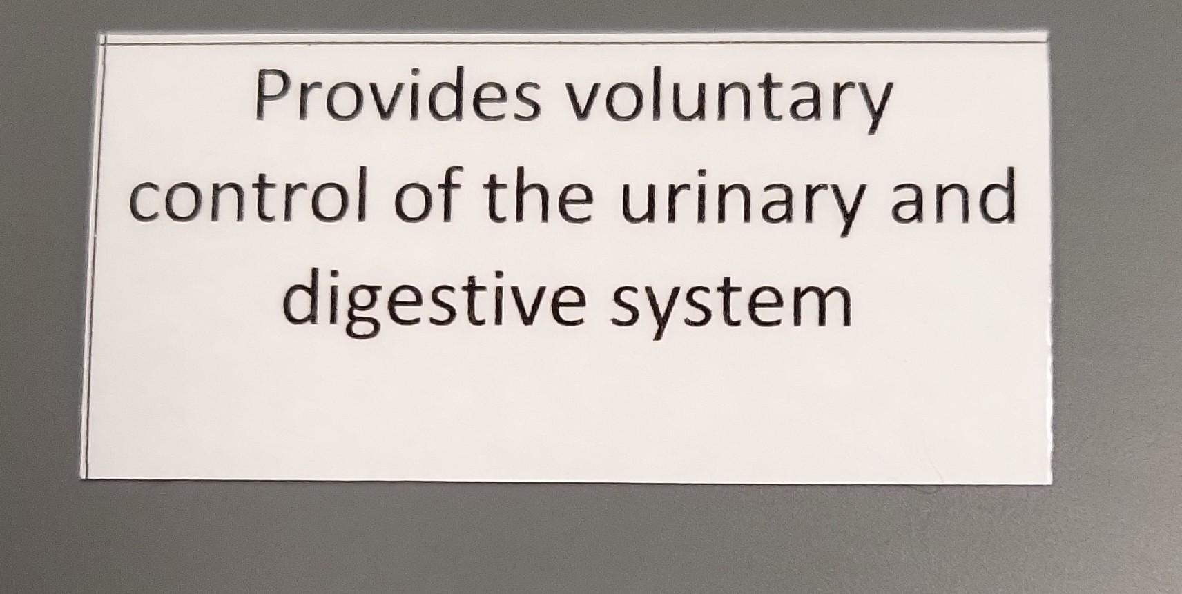 Solved Provides voluntary control of the urinary and | Chegg.com