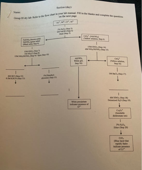 Solved Group III dry lab: Refer to the flow chart in your | Chegg.com