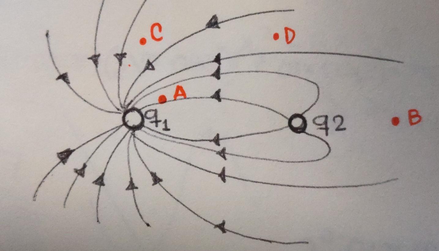 Solved what would be the order of increasing magnitude of | Chegg.com