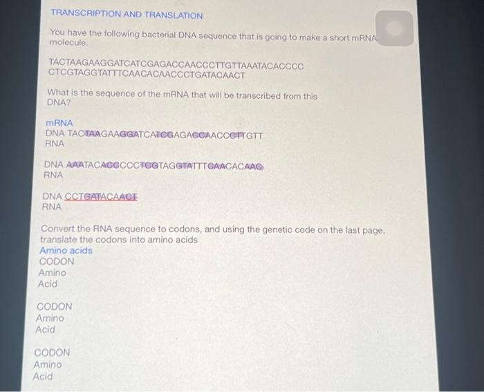 Solved TRANSCRIPTION AND TRANSLATION You have the following | Chegg.com