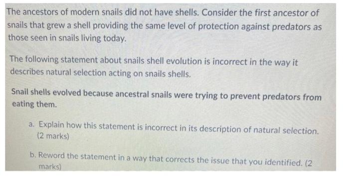Solved The ancestors of modern snails did not have shells. | Chegg.com