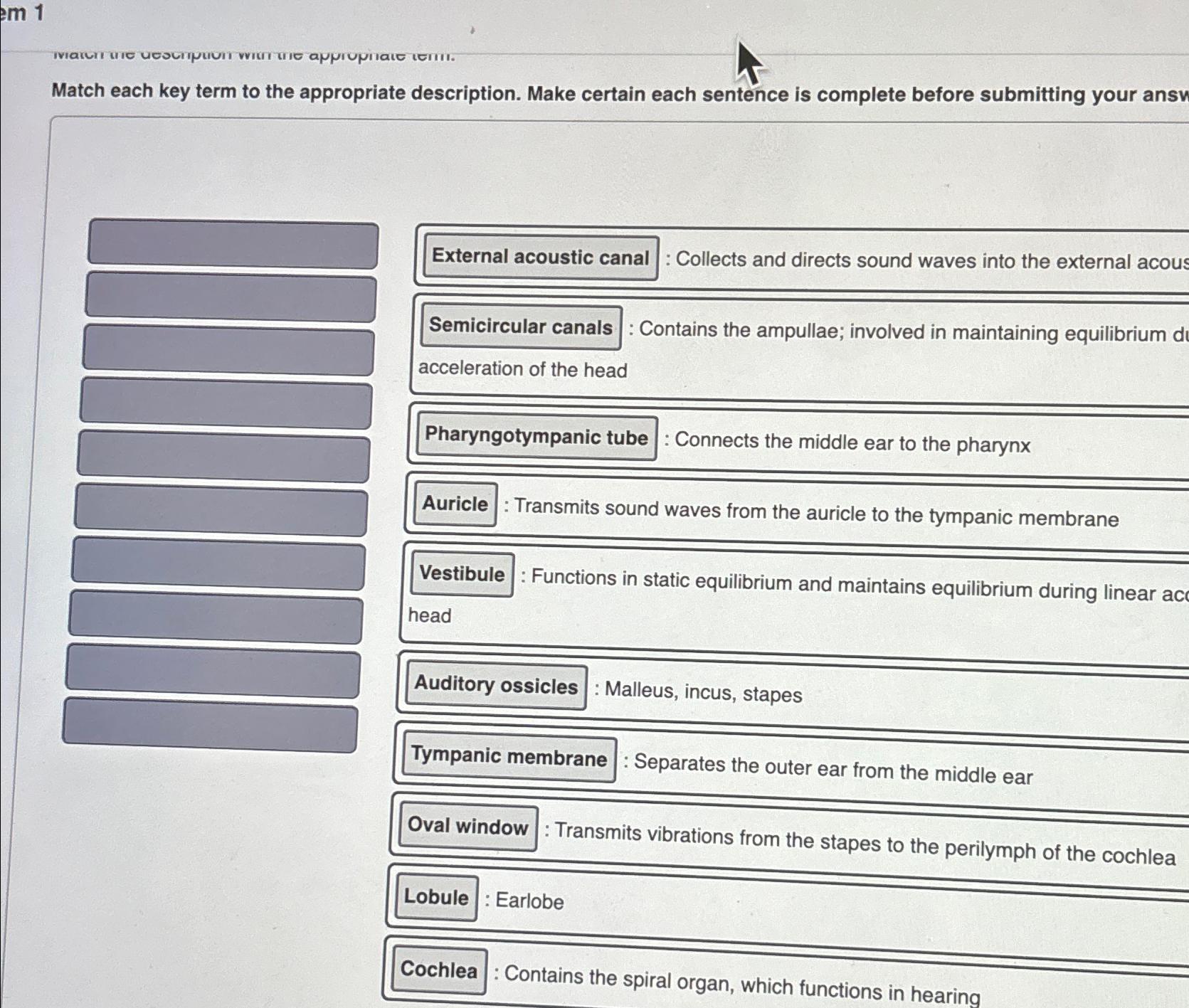 Solved m1Match each key term to the appropriate description. | Chegg.com