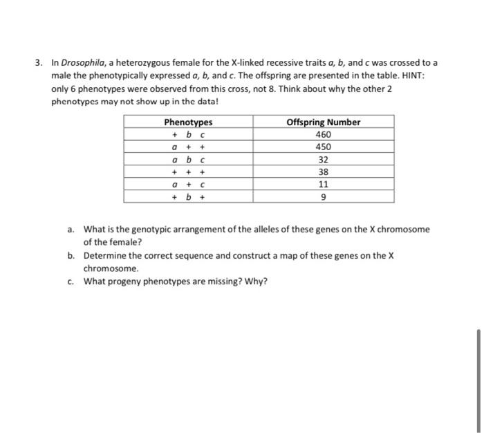 Solved 2. In Drosophila, Dichaete (D) is a mutation on | Chegg.com