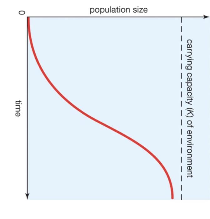 Solved Graphically depict a population that grows and then | Chegg.com