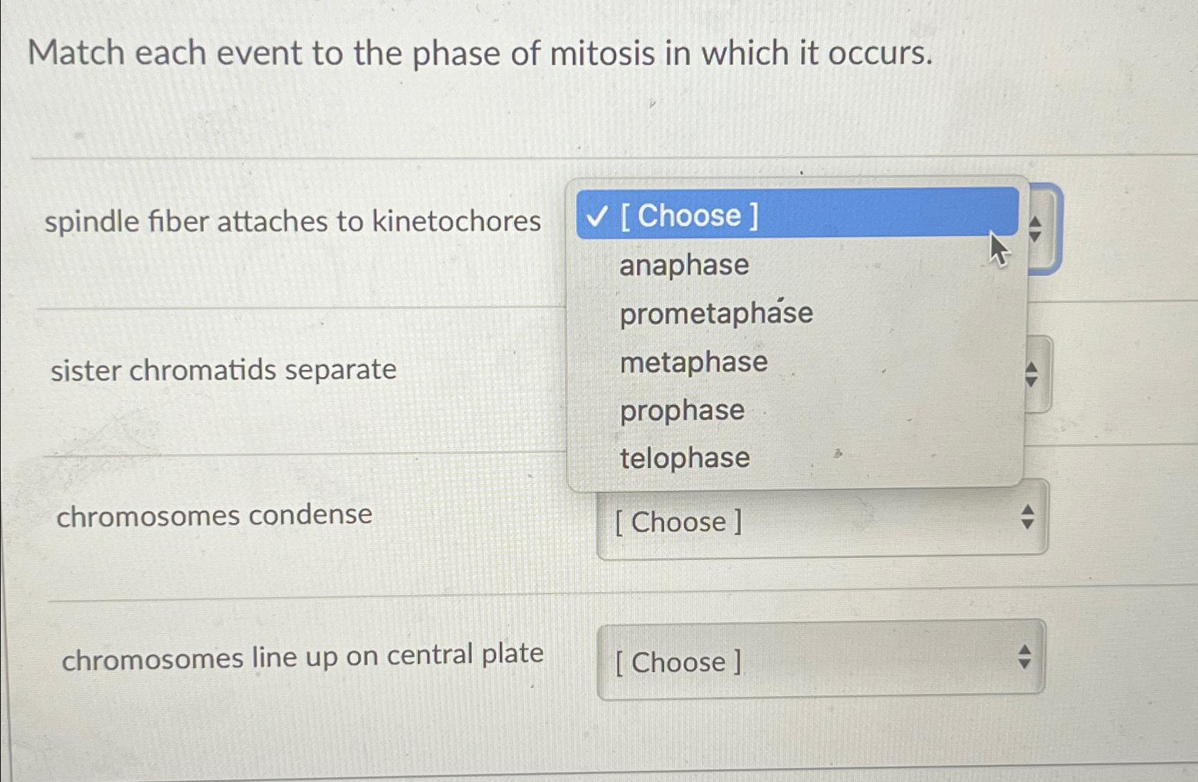 Solved Match each event to the phase of mitosis in which it | Chegg.com