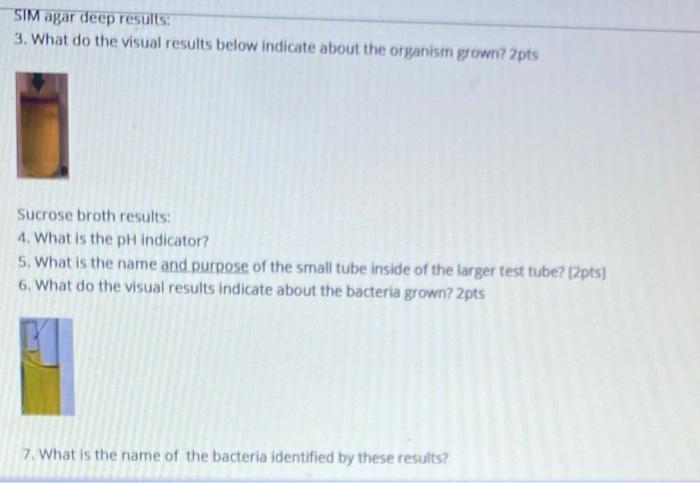 Solved SIM agar deep results: 3. What do the visual results | Chegg.com