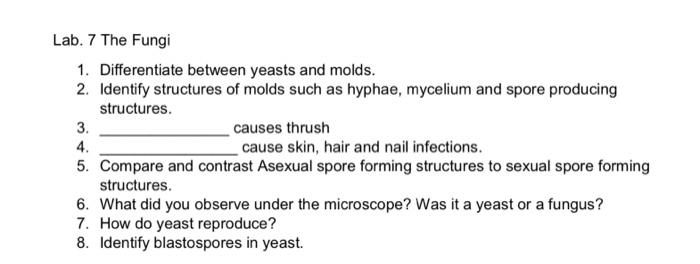 Solved Lab. 7 The Fungi 1. Differentiate between yeasts and | Chegg.com