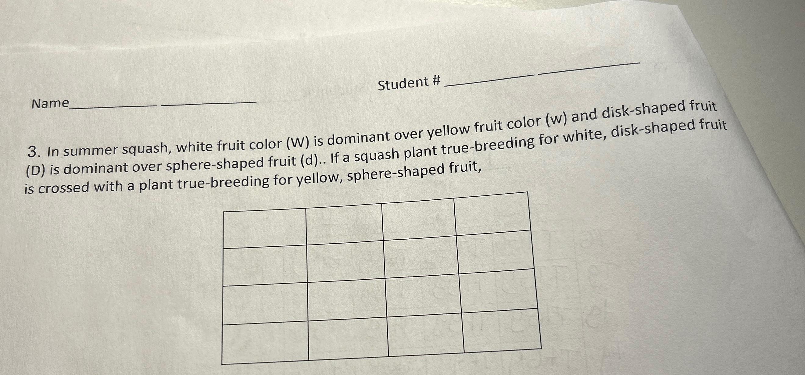 Solved NameStudent #3. ﻿In summer squash, white fruit color | Chegg.com