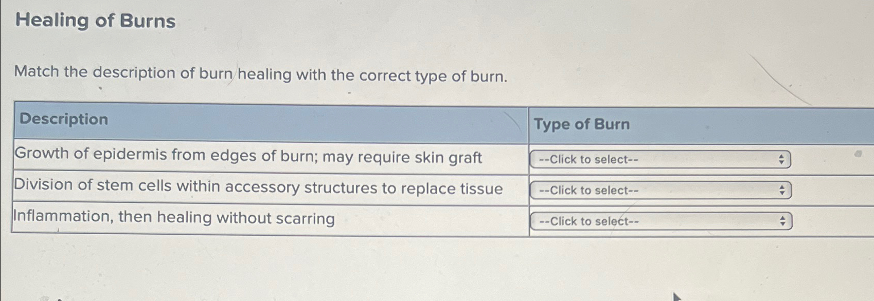 Healing of BurnsMatch the description of burn healing | Chegg.com