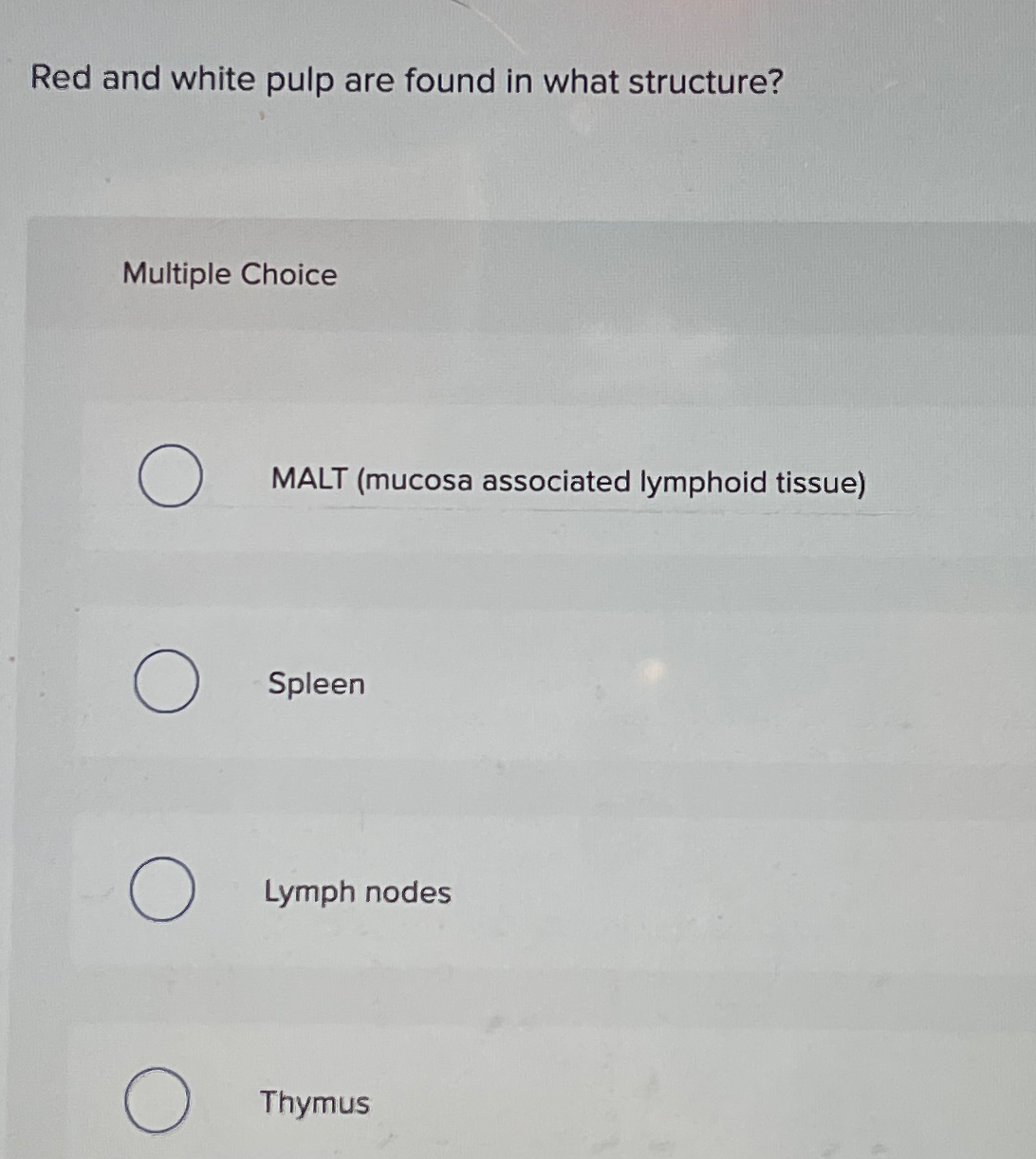 Solved Red and white pulp are found in what | Chegg.com
