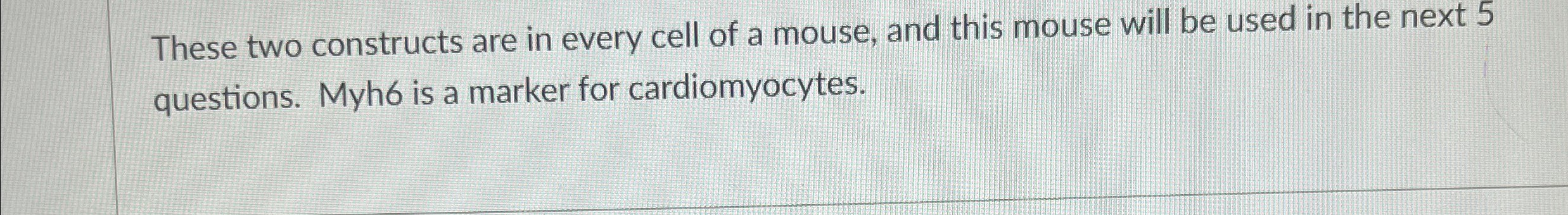 Solved These two constructs are in every cell of a mouse, | Chegg.com