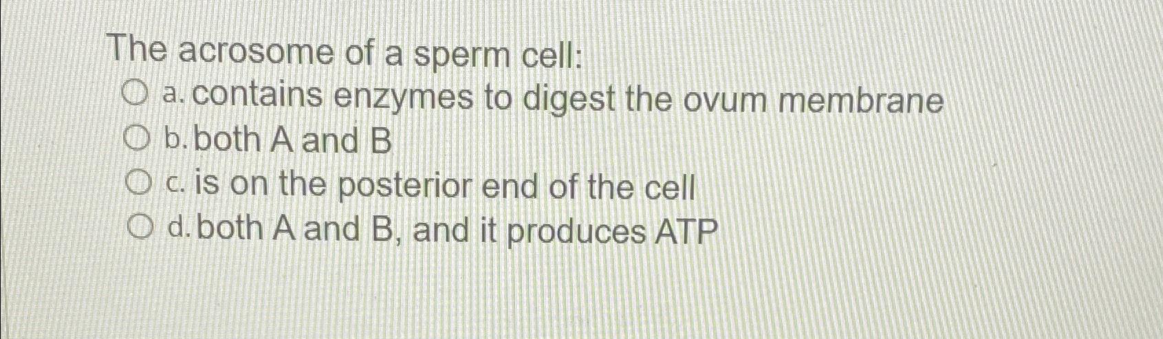 Solved The acrosome of a sperm cell:a. ﻿contains enzymes to | Chegg.com
