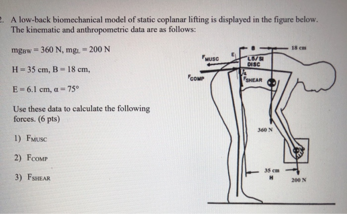 Solved 2. A low-back biomechanical model of static coplanar | Chegg.com