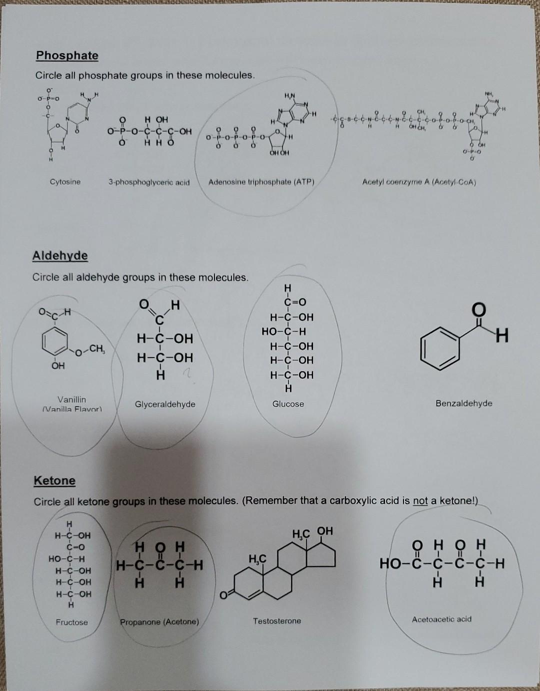 Solved Lab Lesson \#7, Part 1: Functional Groups in | Chegg.com