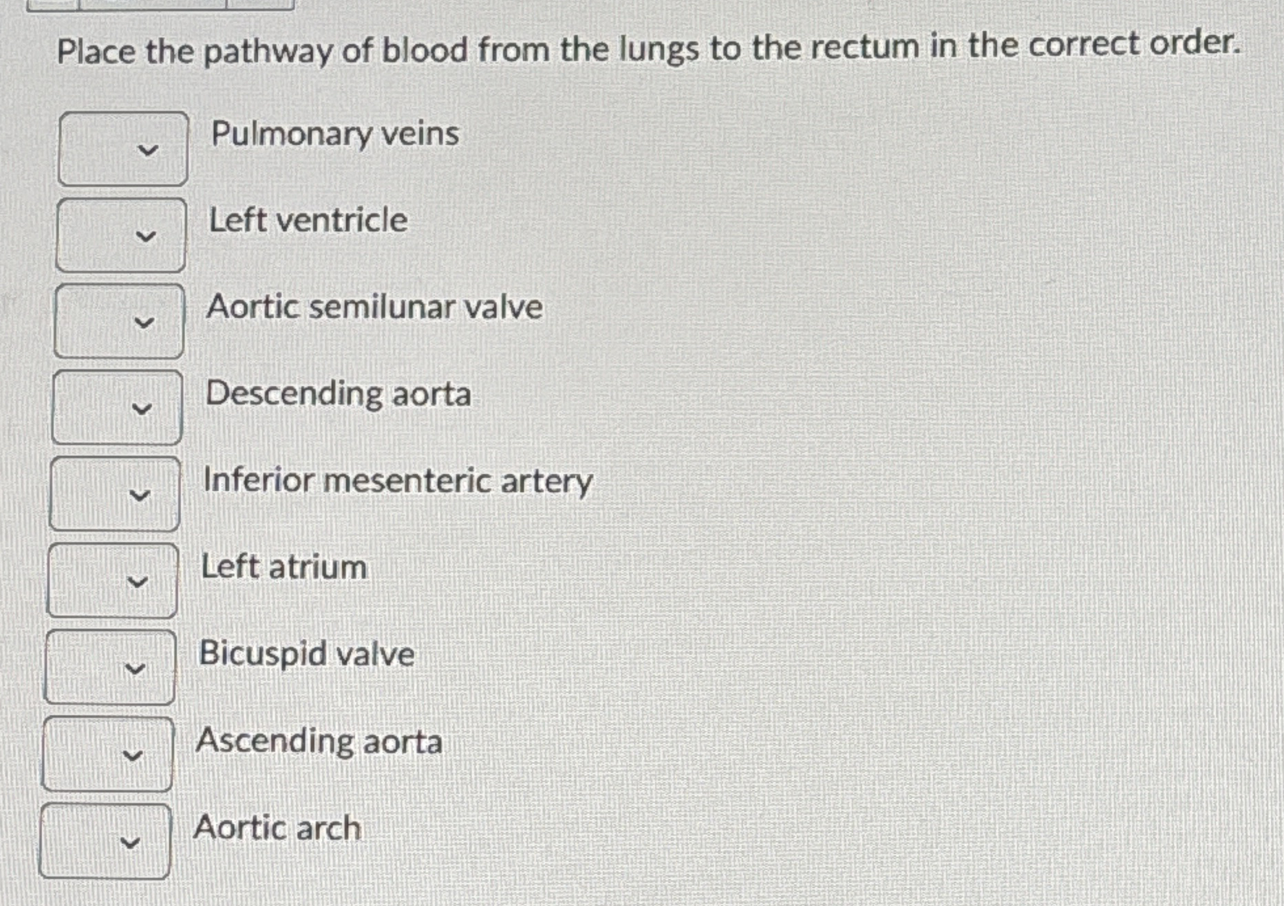 Solved Place the pathway of blood from the lungs to the | Chegg.com