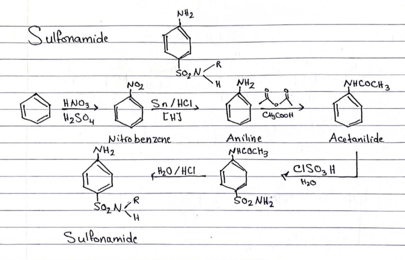 Solved Explain each step of the following sulfonamide | Chegg.com