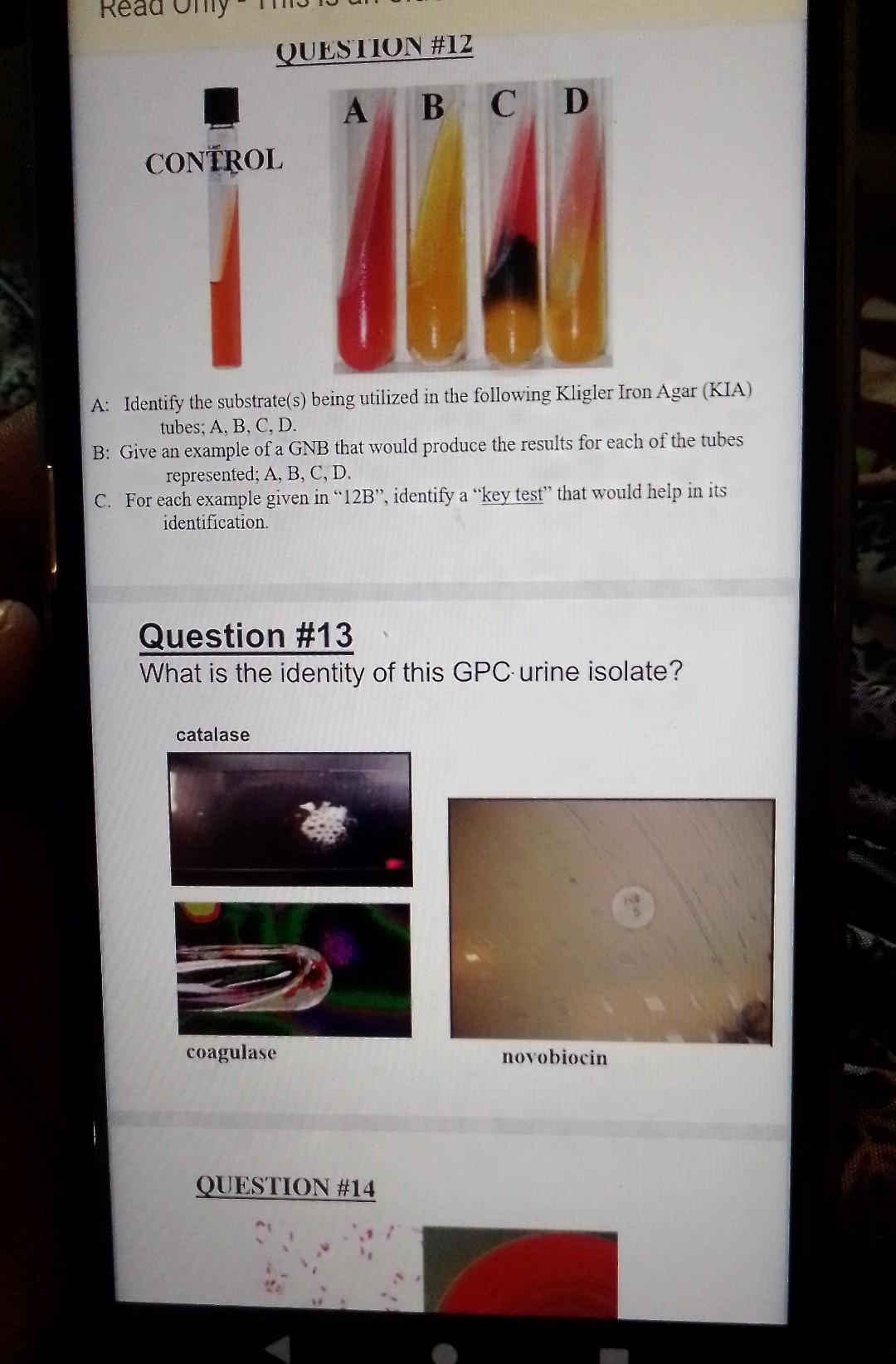 Solved Question #1 A B C D E Nitrate reagent A & B has been | Chegg.com