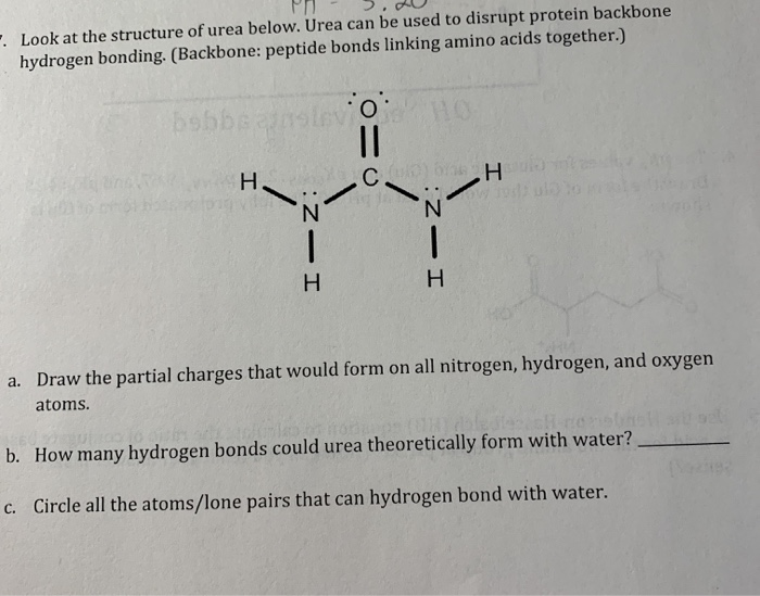 Solved PN- U . Look at the structure of urea below. Urea can | Chegg.com