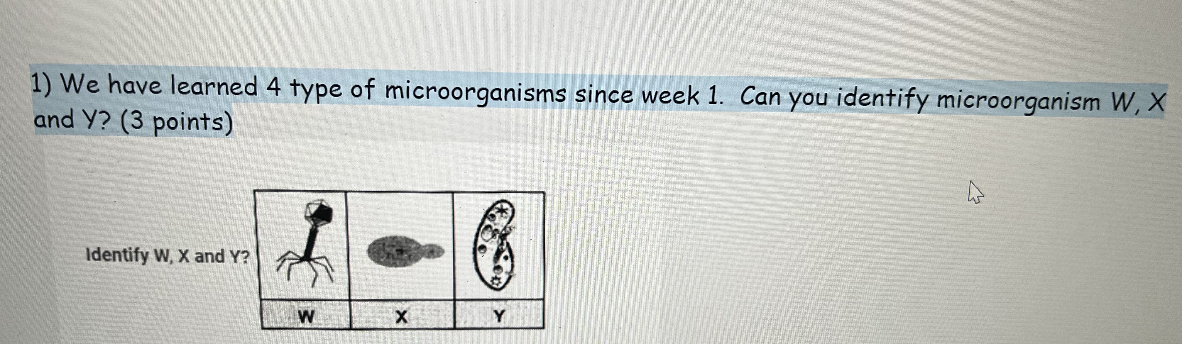 Solved We have learned 4 ﻿type of microorganisms since week | Chegg.com