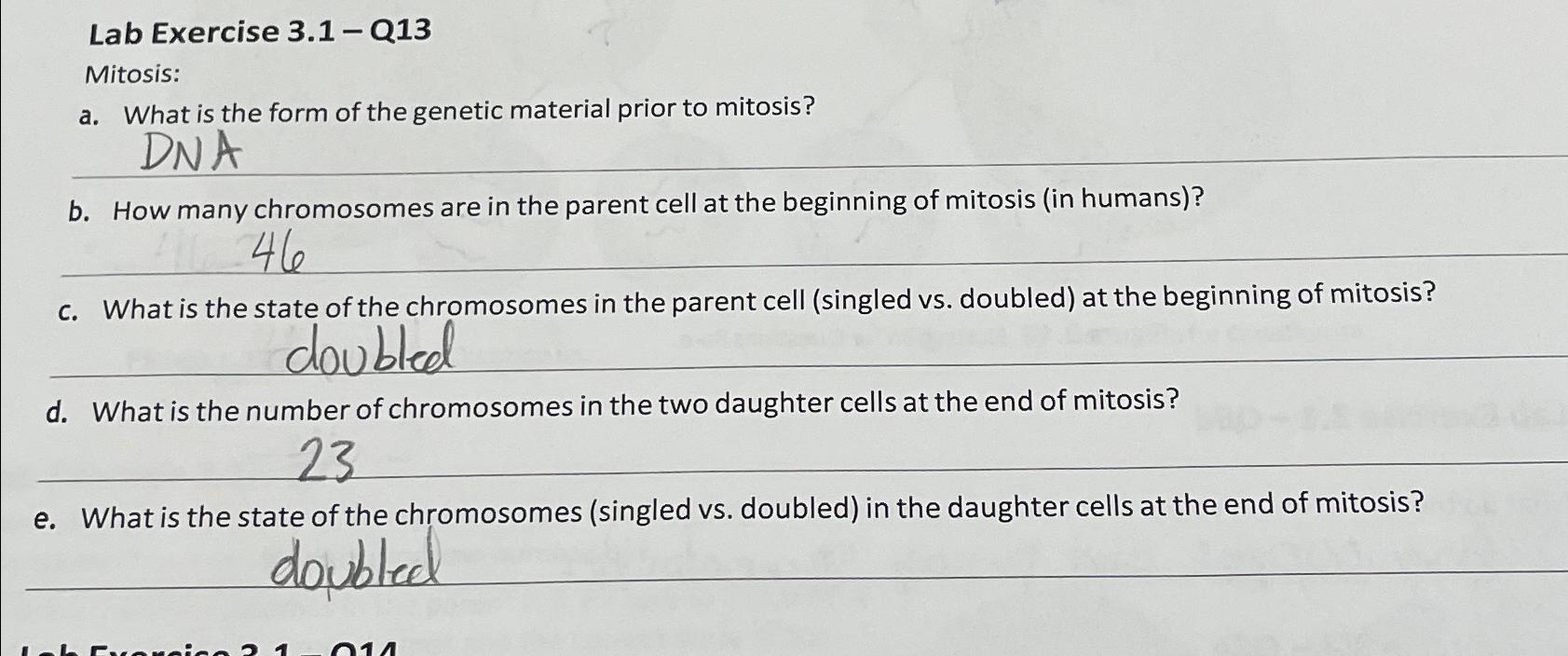 Solved Lab Exercise 3.1-Q13Mitosis:a. ﻿What is the form of | Chegg.com