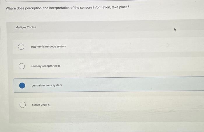 Solved Where does perception, the interpretation of the | Chegg.com