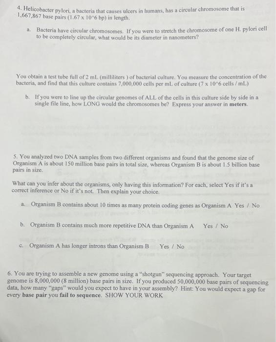 Solved 4. Helicobacter pylori, a bacteria that causes ulcers | Chegg.com