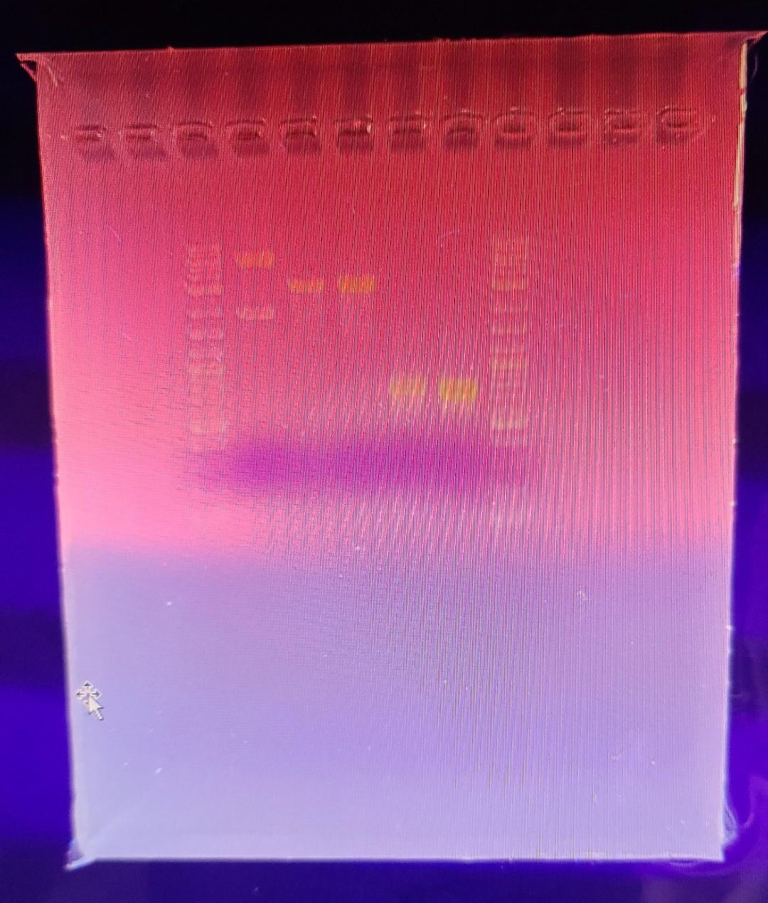 Solved - Describe your results: for each fragment (insert | Chegg.com