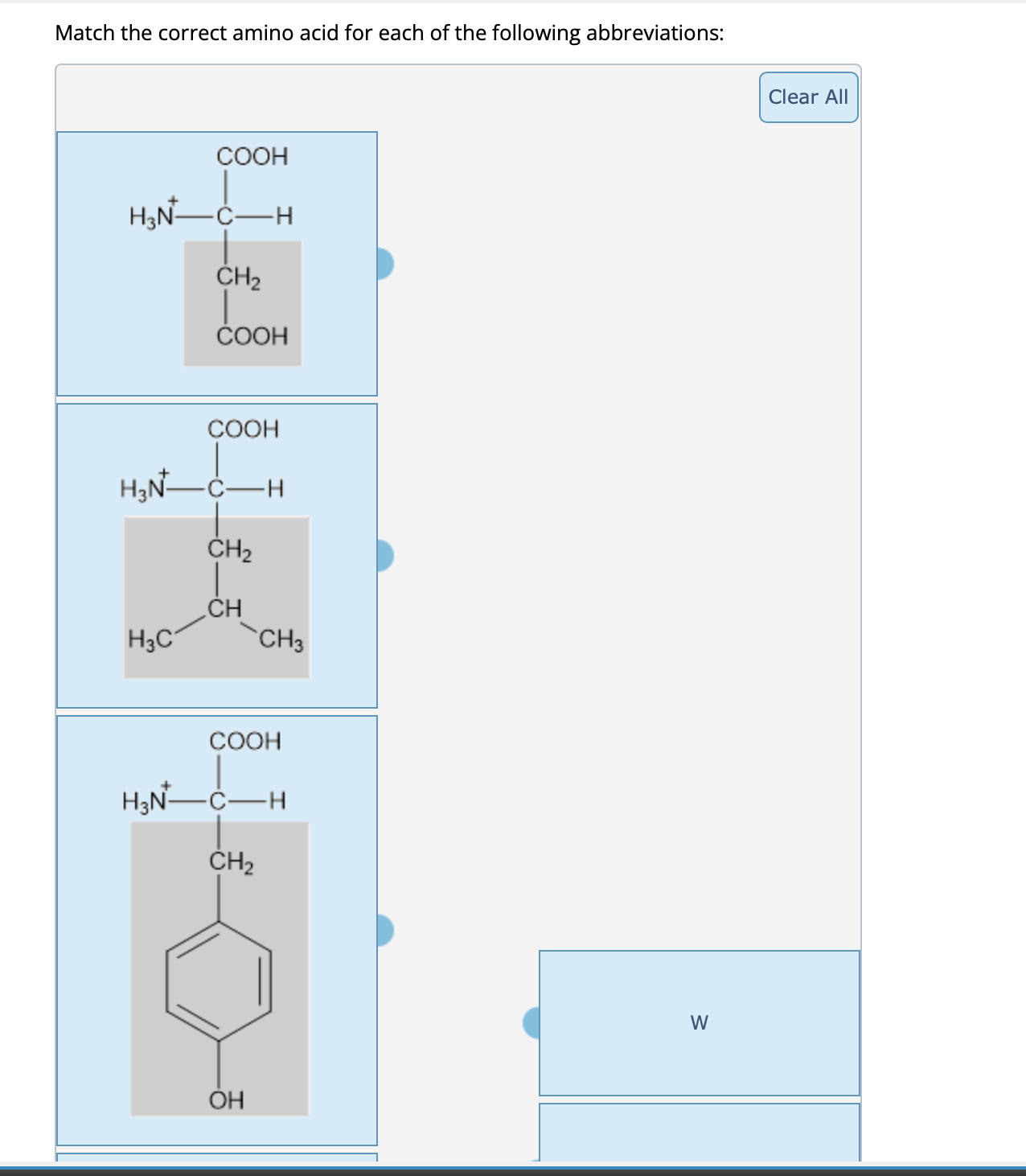 Solved Match the correct amino acid for each of the | Chegg.com
