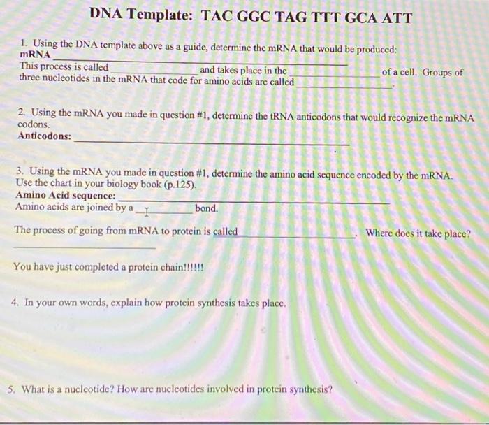 Solved DNA Template: TAC GGC TAG TTT GCA ATT 1. Using the | Chegg.com Solved DNA Template: TAC GGC TAG TTT GCA ATT 1. Using the | Chegg.com