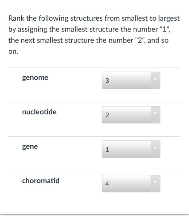 Solved Rank the following structures from smallest to | Chegg.com