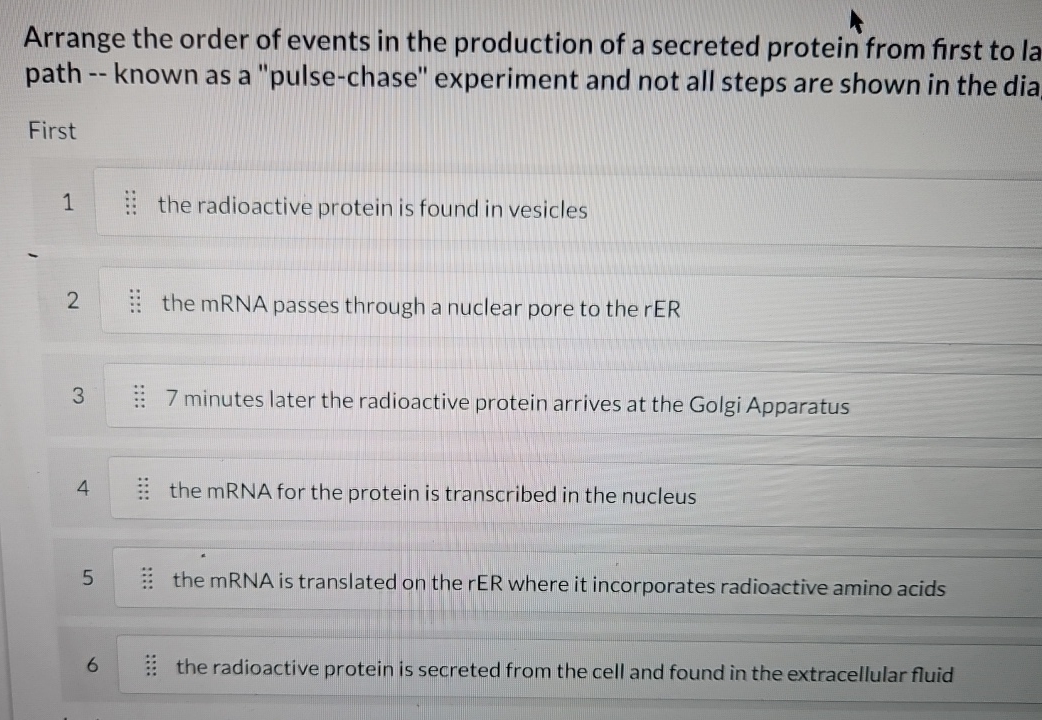 Solved Arrange the order of events in the production of a | Chegg.com