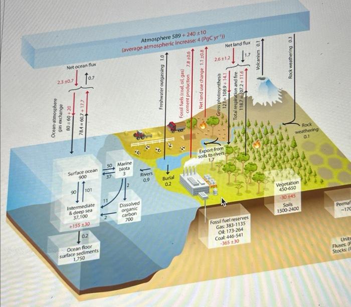 Solved The carbon cycleThe carbon cycle describes the | Chegg.com