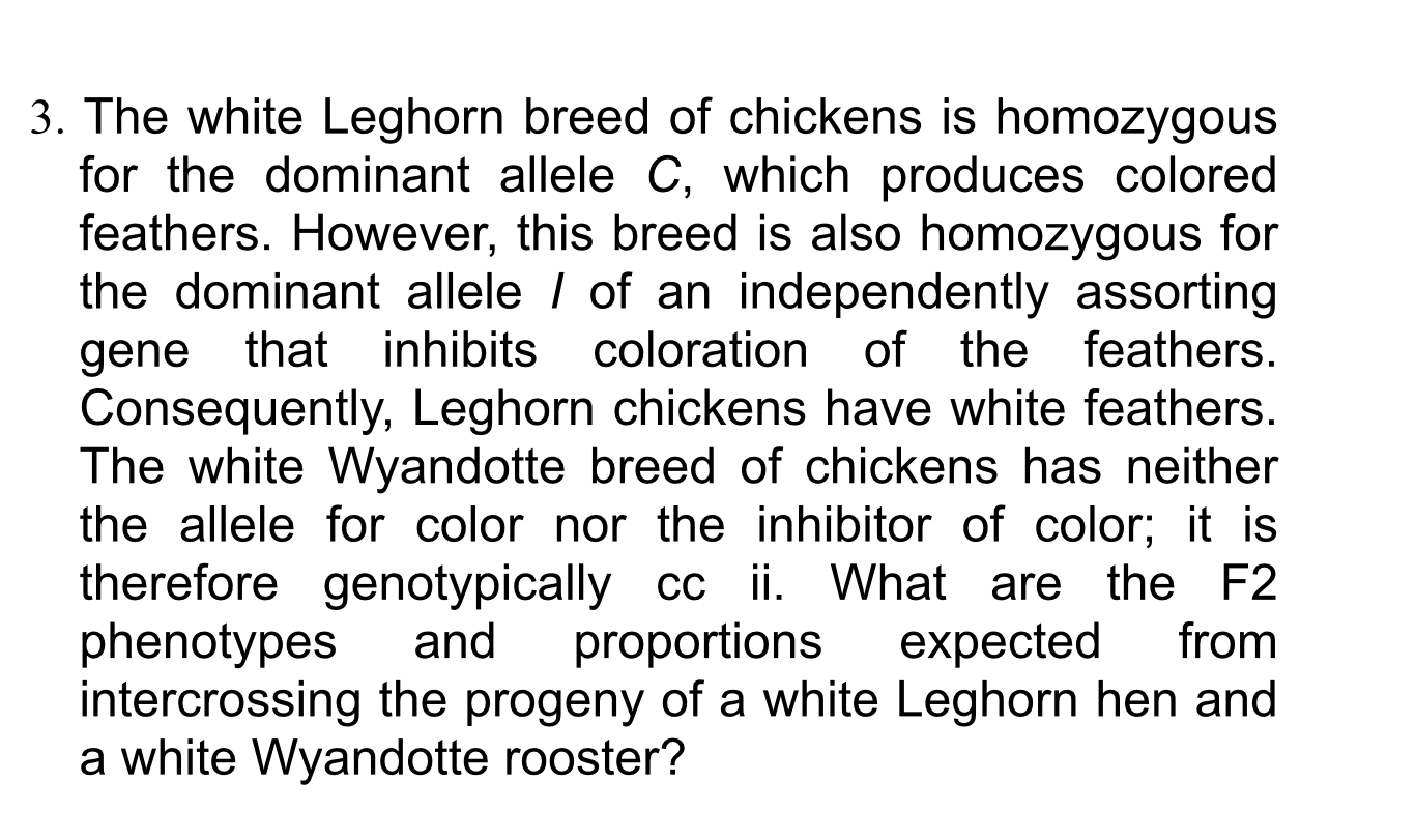 Solved The white Leghorn breed of chickens is homozygousfor | Chegg.com