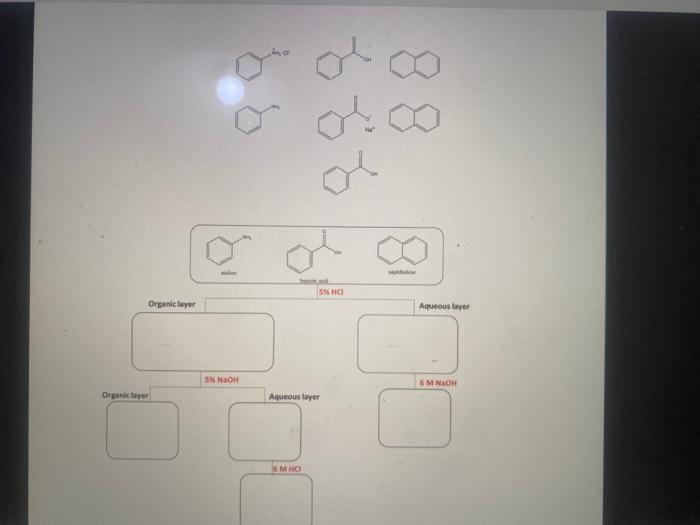 Solved | | Organic layer Aqueous layer 5 NOH 6 MNOH Organic | Chegg.com