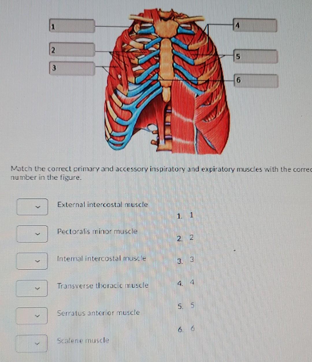 Solved A 5 3 6 Watch the correct primary and accessory | Chegg.com
