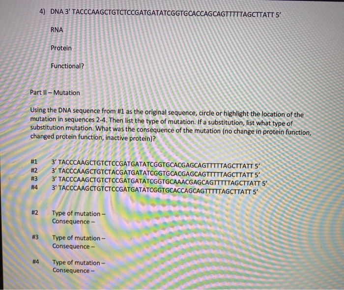 Solved Part 1 - Transcription/Translation For each of the 4 | Chegg.com