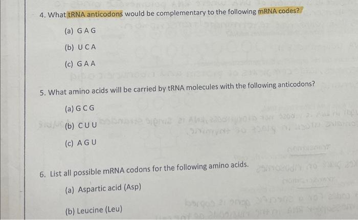 Solved 4. What tRNA anticodons would be complementary to the | Chegg.com