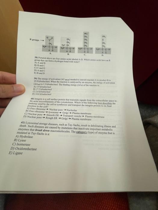 Solved 38) hetured above are four amine acids bolied A.D. | Chegg.com