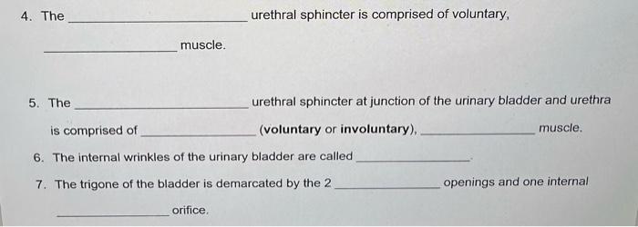 Solved 4. The urethral sphincter is comprised of voluntary, | Chegg.com