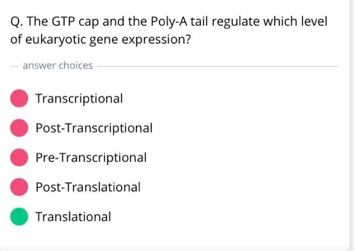 Solved Q. The GTP cap and the Poly-A tail regulate which | Chegg.com