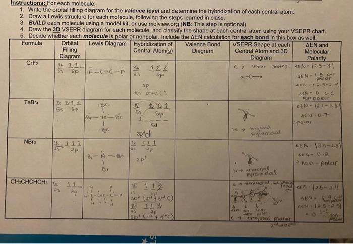 Solved Complete the chart & check for any corrections. Check | Chegg.com