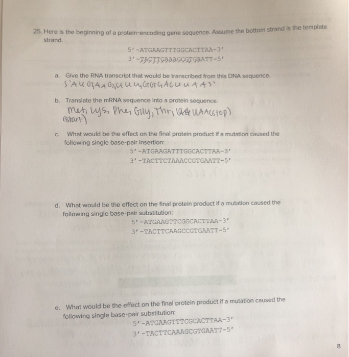 Solved 25. Here is the beginning of a protein-encoding gene | Chegg.com