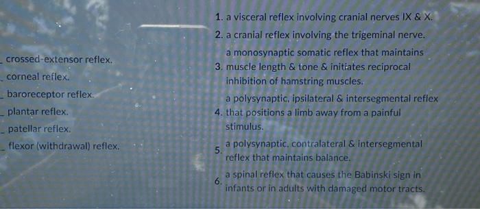 Solved 1. a visceral reflex involving cranial nerves IX&X. | Chegg.com