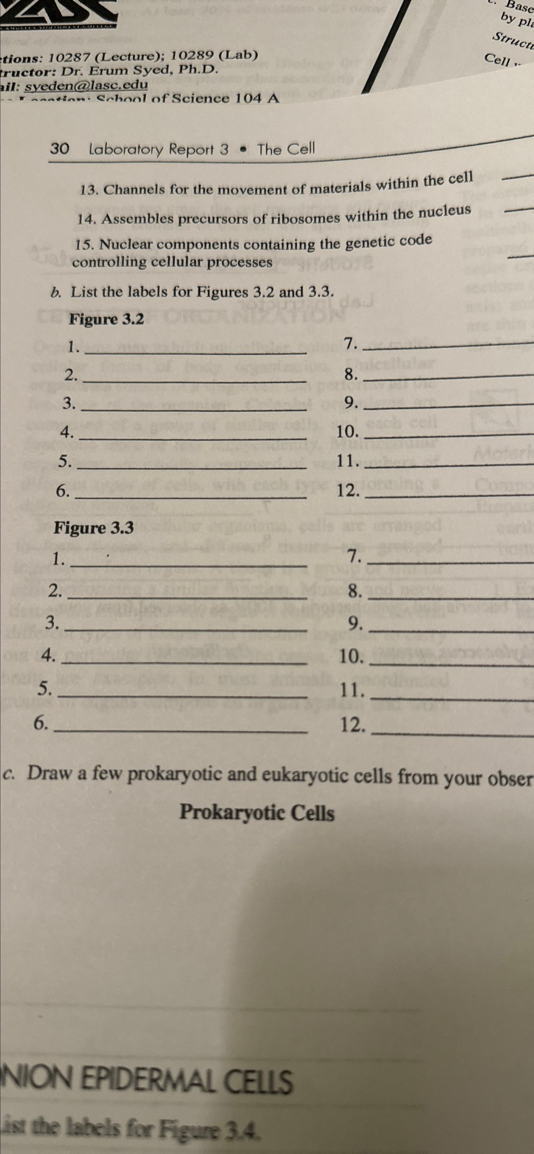 Solved tions: 10287 (Lecture); 10289 (Lab)tructor: Dr. ﻿Erum | Chegg.com