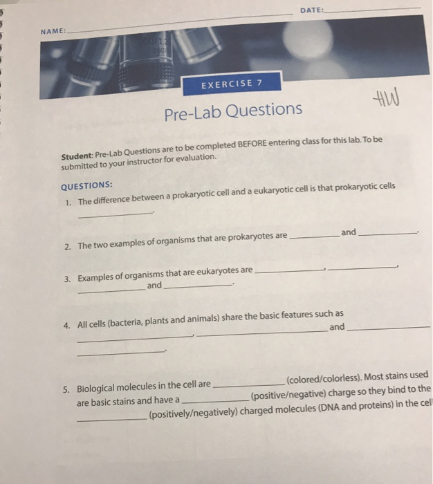 Solved DATE: NAME: EXERCISE 7 Pre-Lab Questions Student | Chegg.com