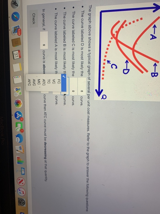 Solved The graph above shows a typical graph of several per | Chegg.com